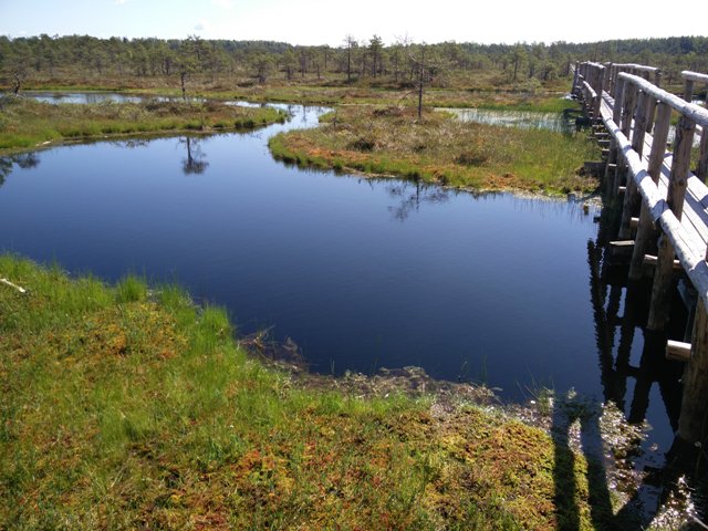 Eestimaa matkarajad: Männikjärve - Terviseviis
