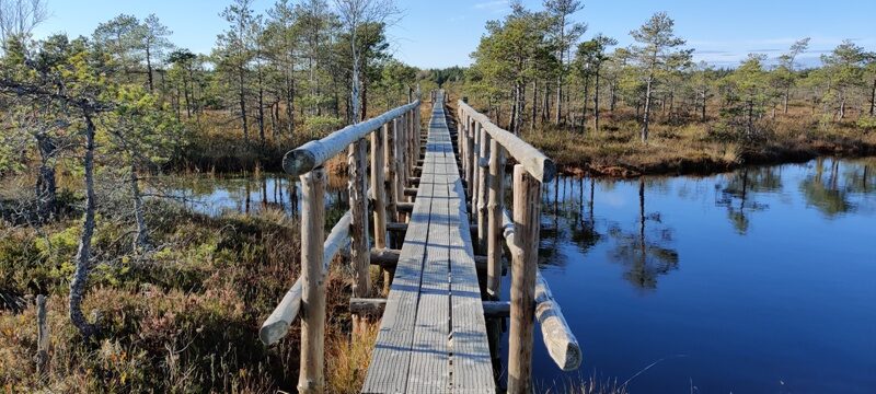 Sügismeeleolus: Endla looduskaitseala raba ja mülgaste ilu - Terviseviis