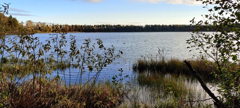 Sügismeeleolus: Endla looduskaitseala raba ja mülgaste ilu - Terviseviis